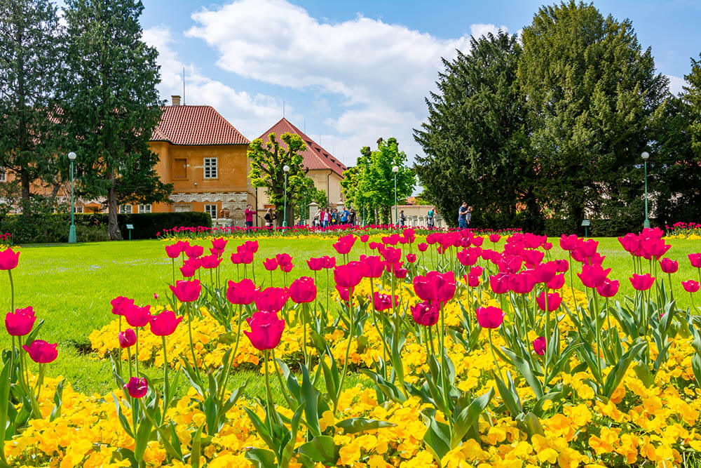 Free Online Word Search Game about May Flowers by AMAC